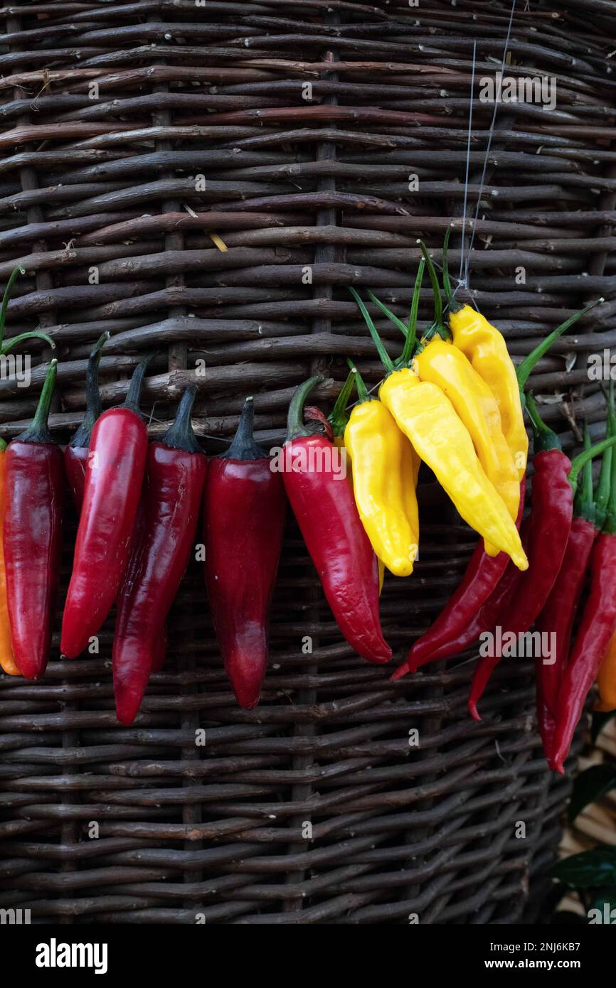 Chilli string hi-res stock photography and images - Alamy