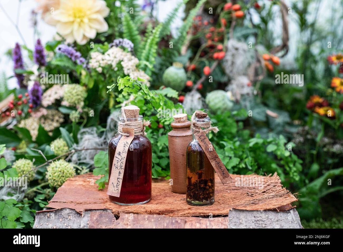 Potion bottles with handwritten labels on a wooden board are part of an ...
