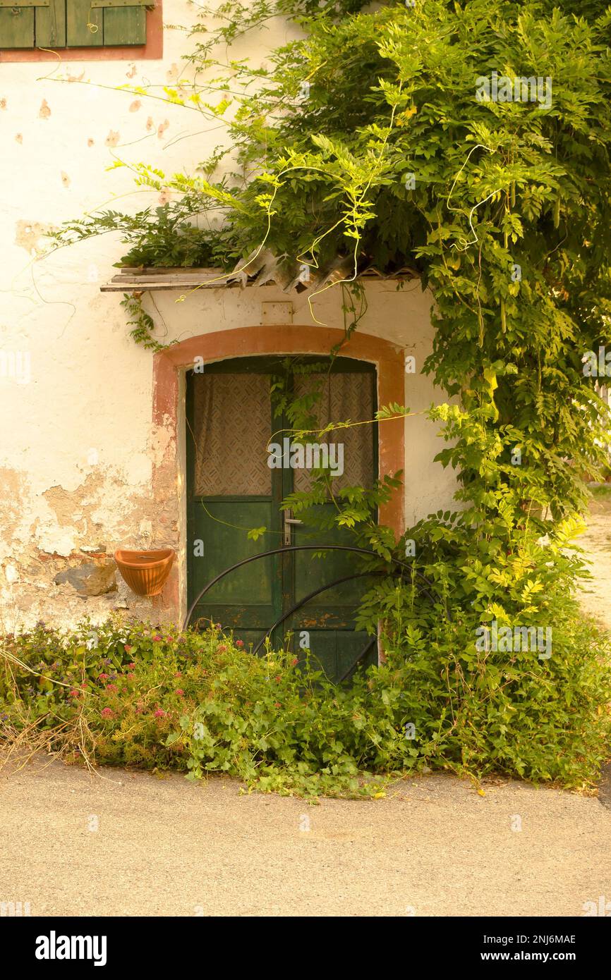 Courtyard of an old house Stock Photo - Alamy