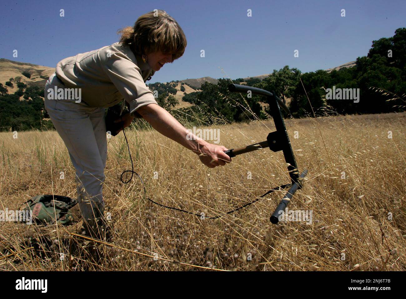 EBLRATTLESNAKE 032 LH.JPG Katie Colbert is a naturalist who's studying ...