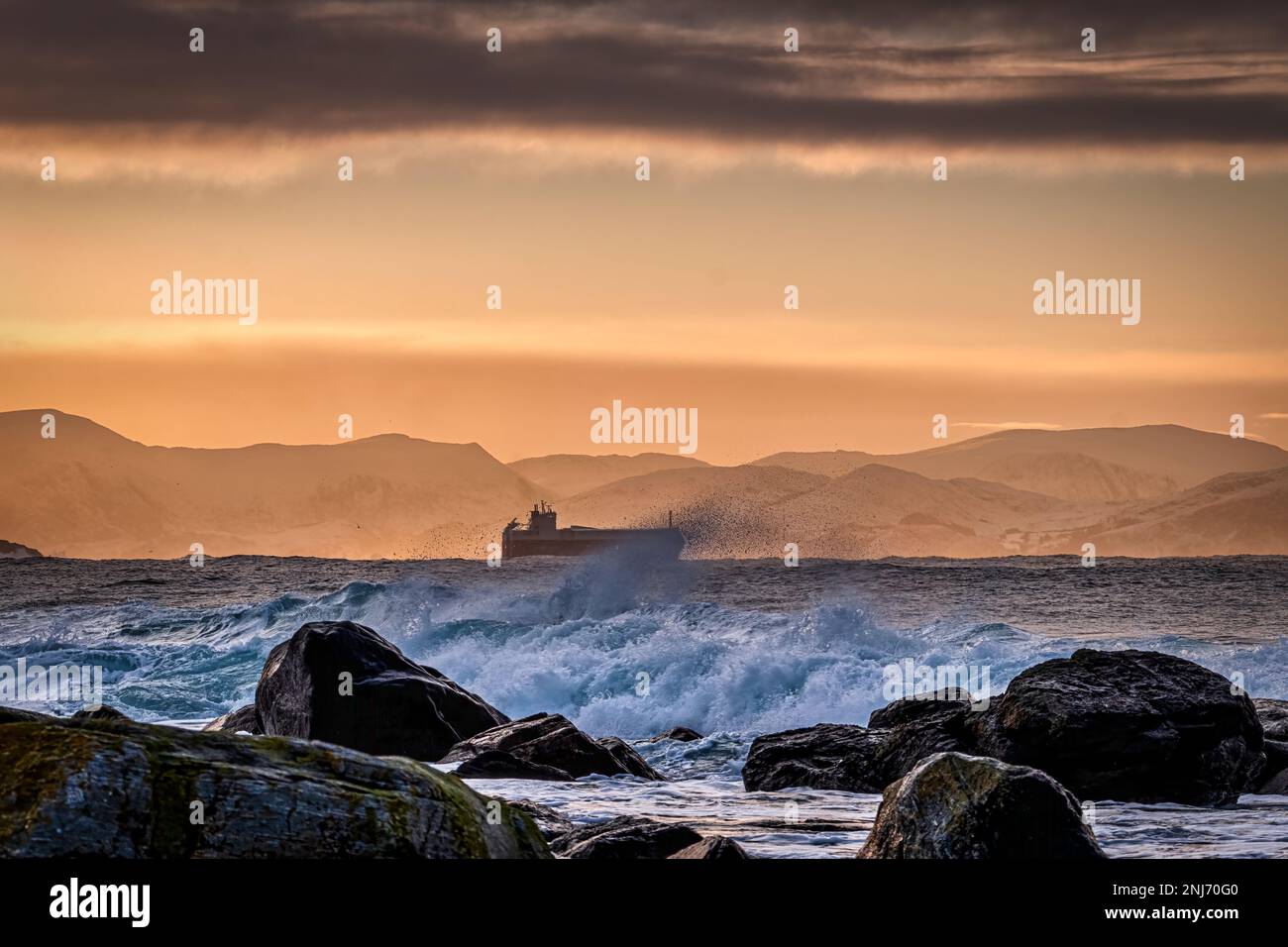 riding the ocean waves at sunset Stock Photo - Alamy