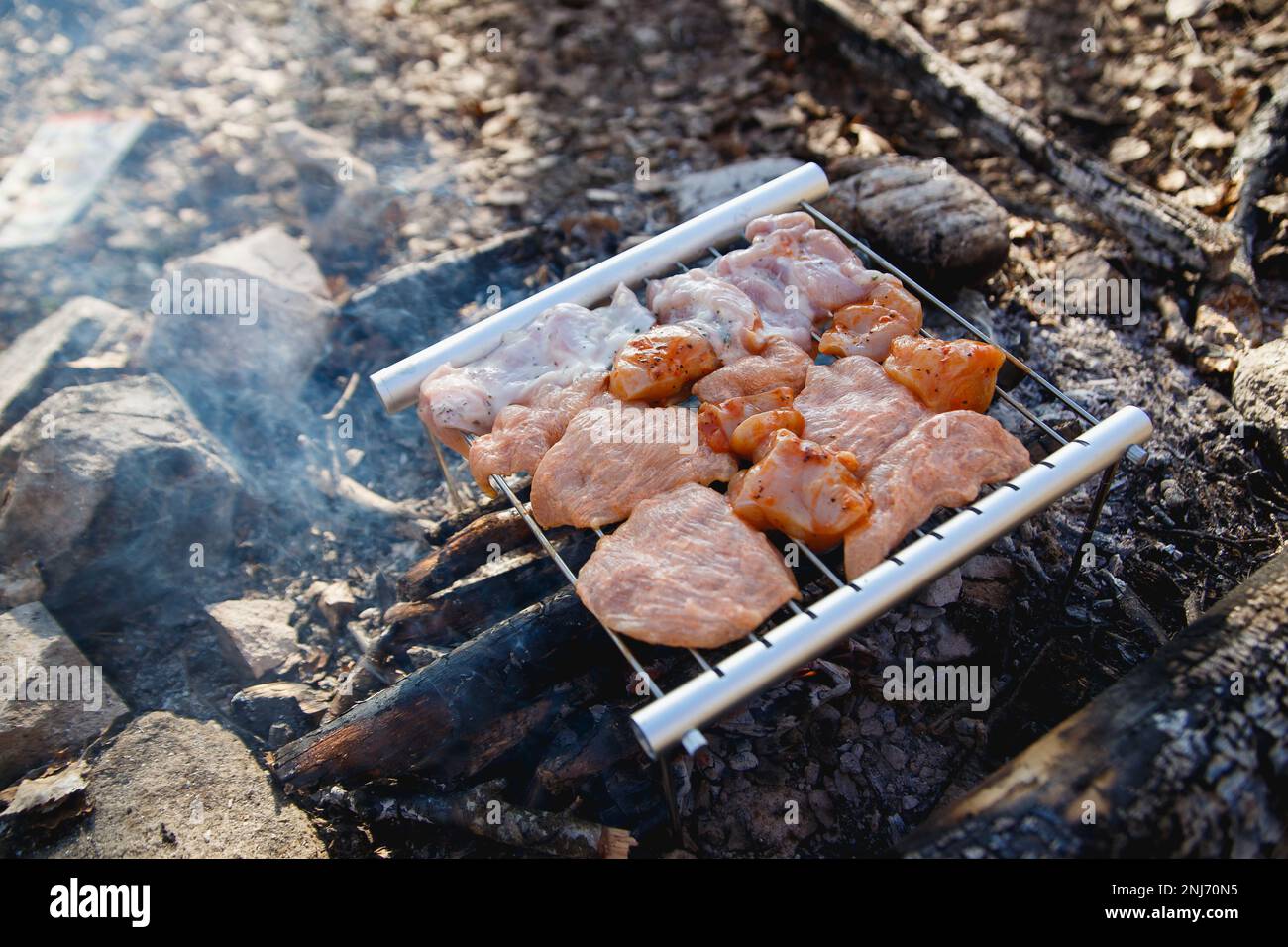 Barbecue portable grid in a forest Stock Photo - Alamy