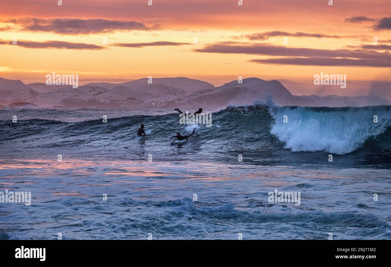 Surfer riding epic ocean wave hi-res stock photography and images - Alamy