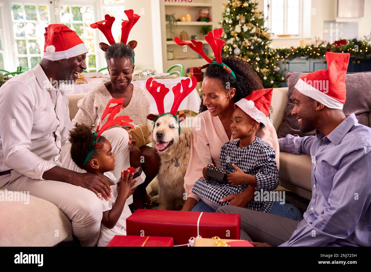 Multi-Generation Family Celebrate Christmas At Home Wearing Santa Hats ...