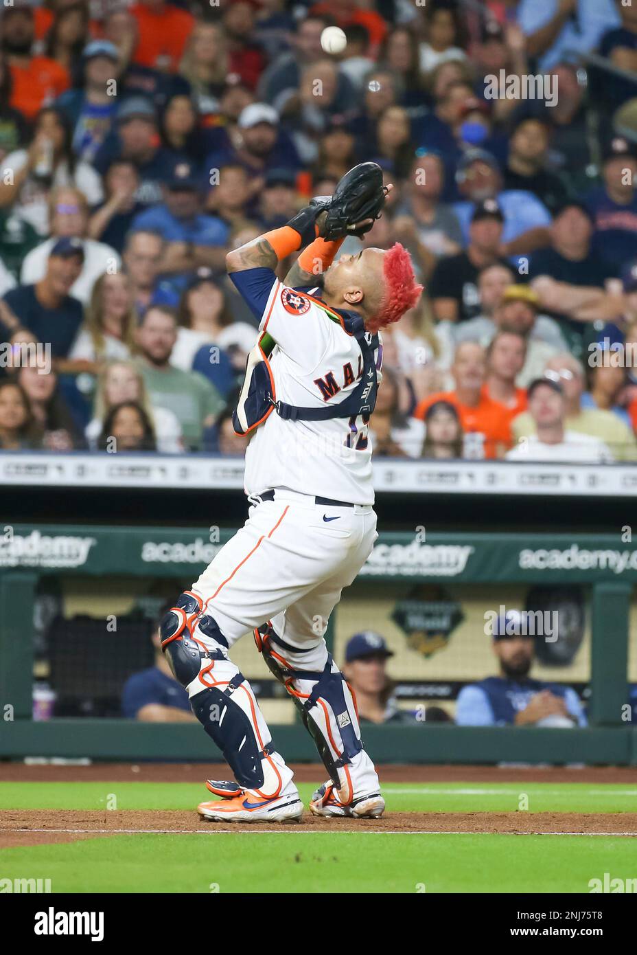 HOUSTON, TX - OCTOBER 01: Houston Astros catcher Martin Maldonado (15 ...