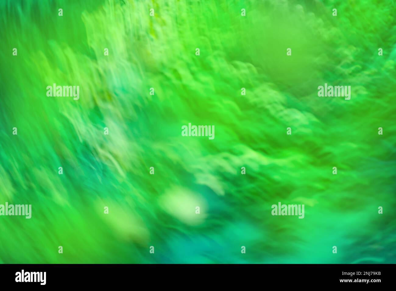 Blurry mango color bokeh backdrop. Green haze bokeh backdrop Stock ...