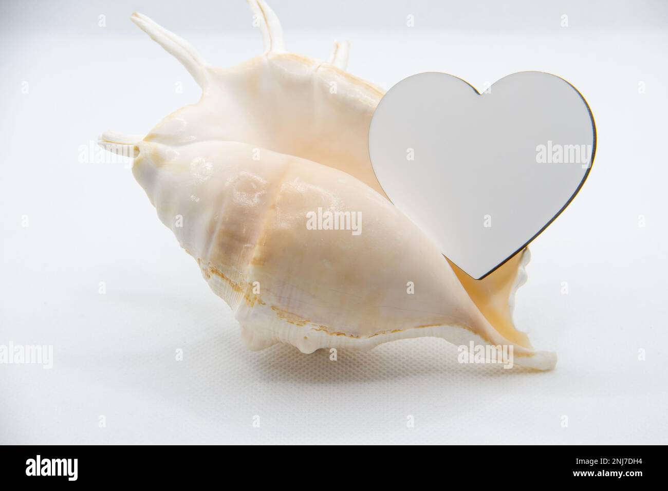 This stock photo contains a heart-shaped mirror resting atop a conch ...