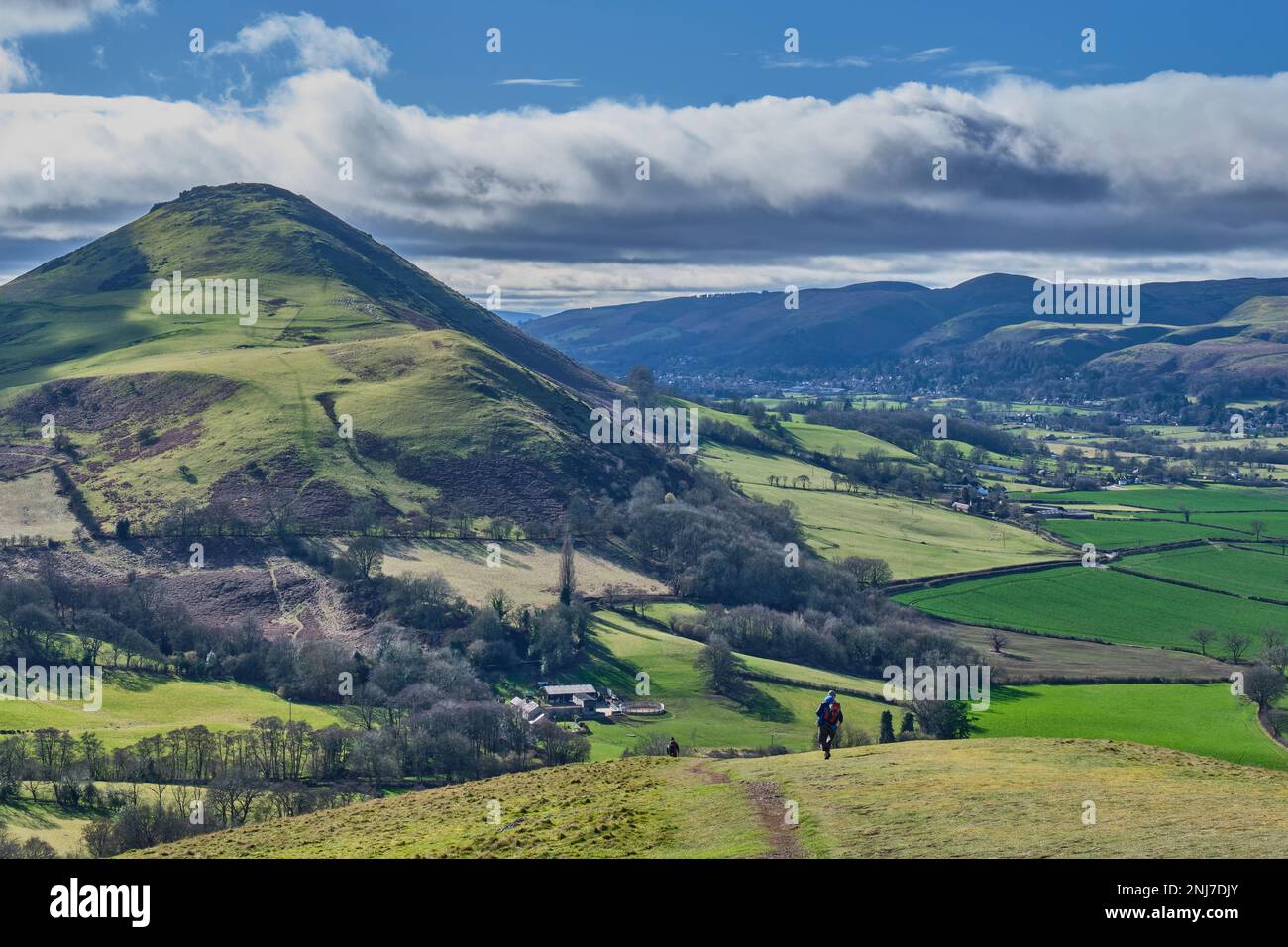 Walkers descending towards Comley from the summit of The Lawley, with ...