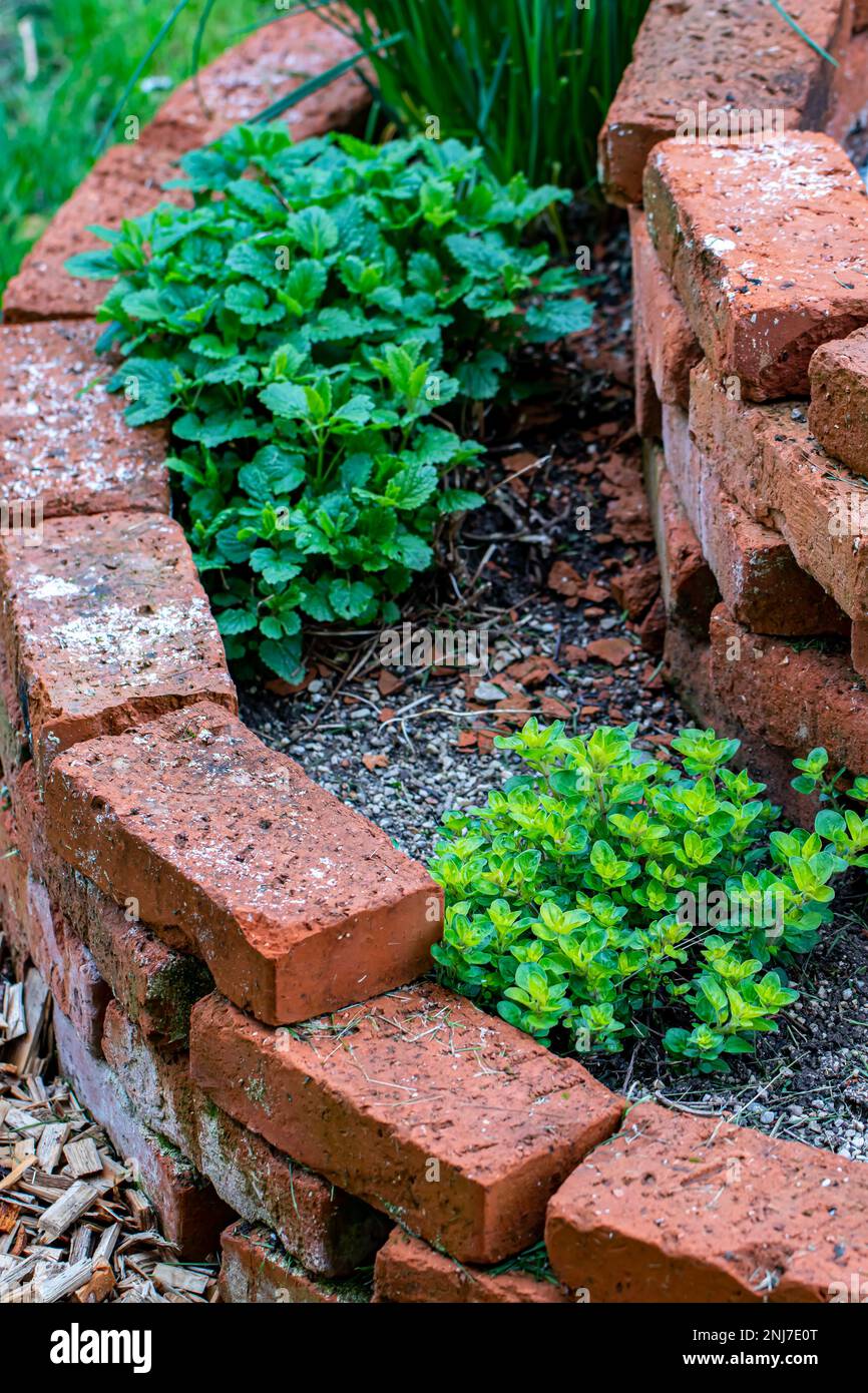 Surrounded by red brickwork hi-res stock photography and images - Alamy