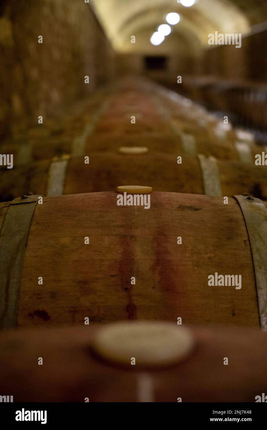 Old french oak wooden barrels in underground cellars for wine aging ...
