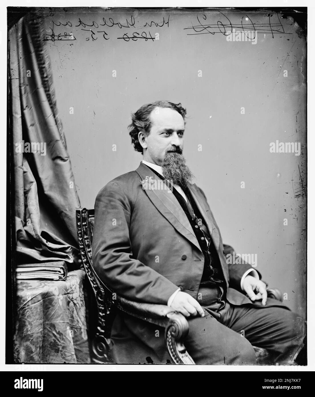 Portrait of Hon. Edward Isaac Golladay from Tennessee, an individual ...