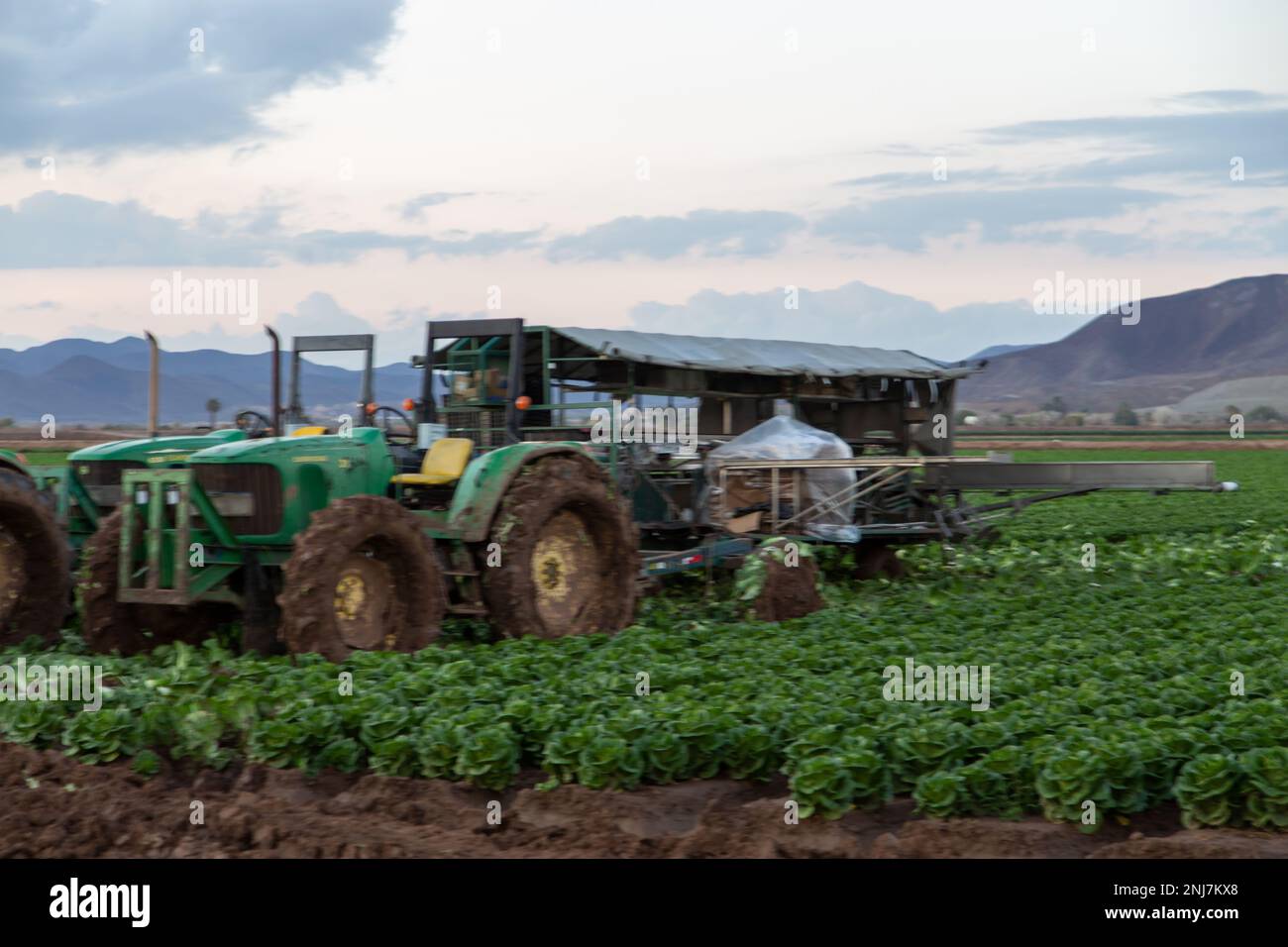 Fertilizers in agriculture hi-res stock photography and images - Alamy