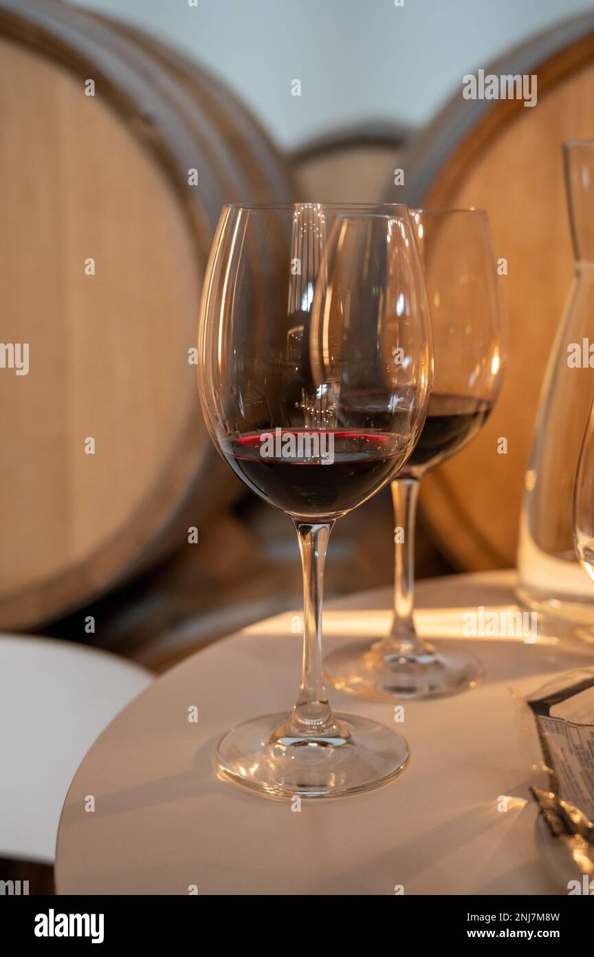 Tasting of variety of rioja wines, visit of winery cellars with french ...