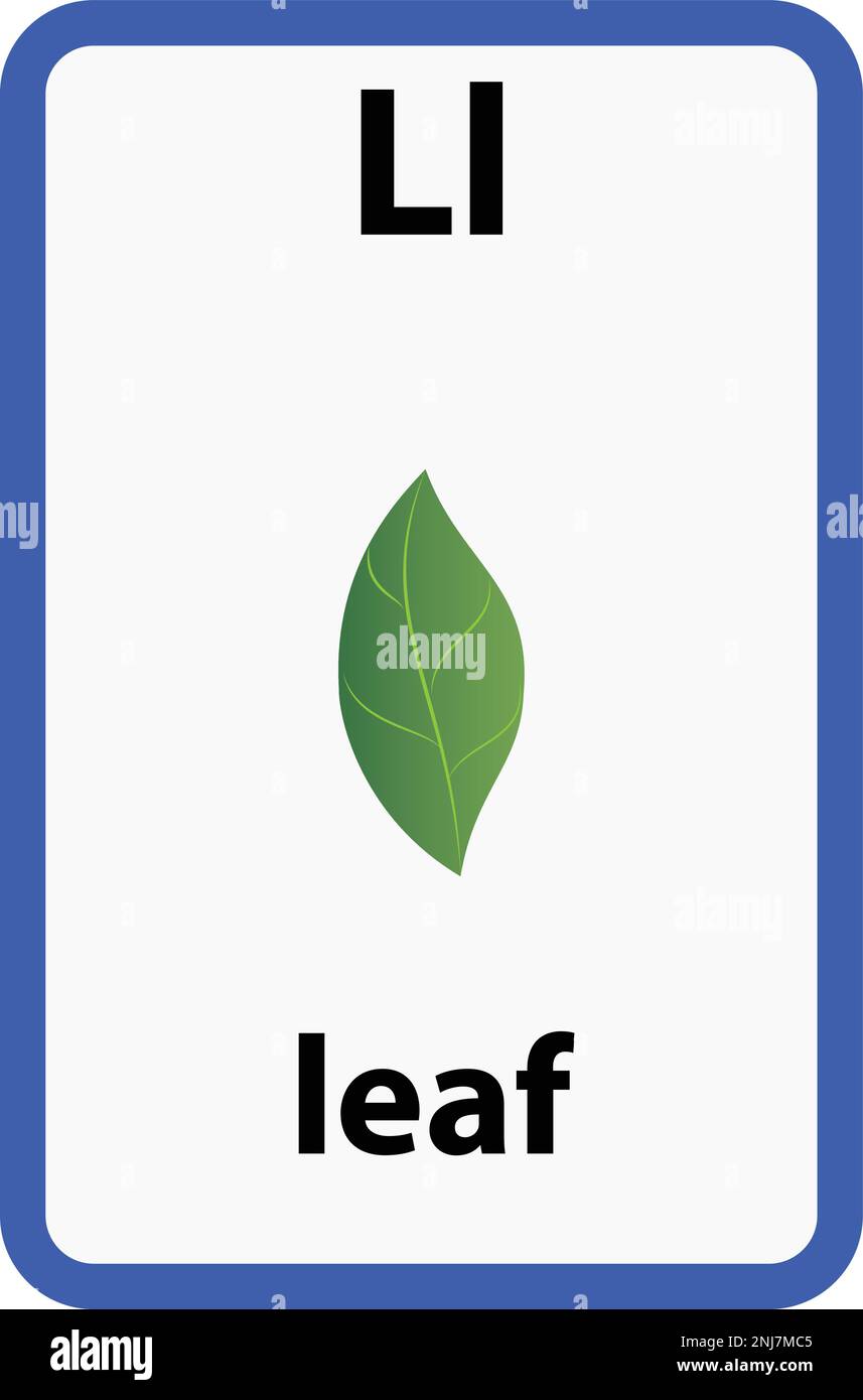 Alphabet flashcard for children with the letter l from leaf Stock ...
