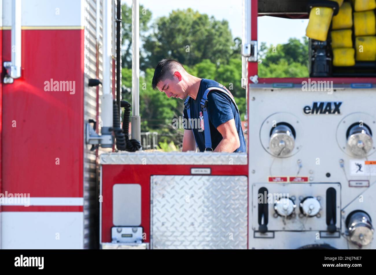 5 robles hi-res stock photography and images - Alamy