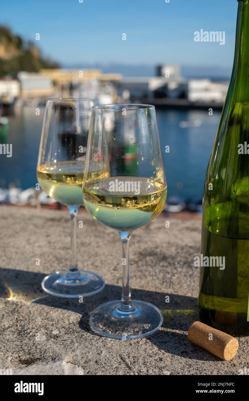 Tasting of txakoli or chacolí slightly sparkling very dry white wine ...