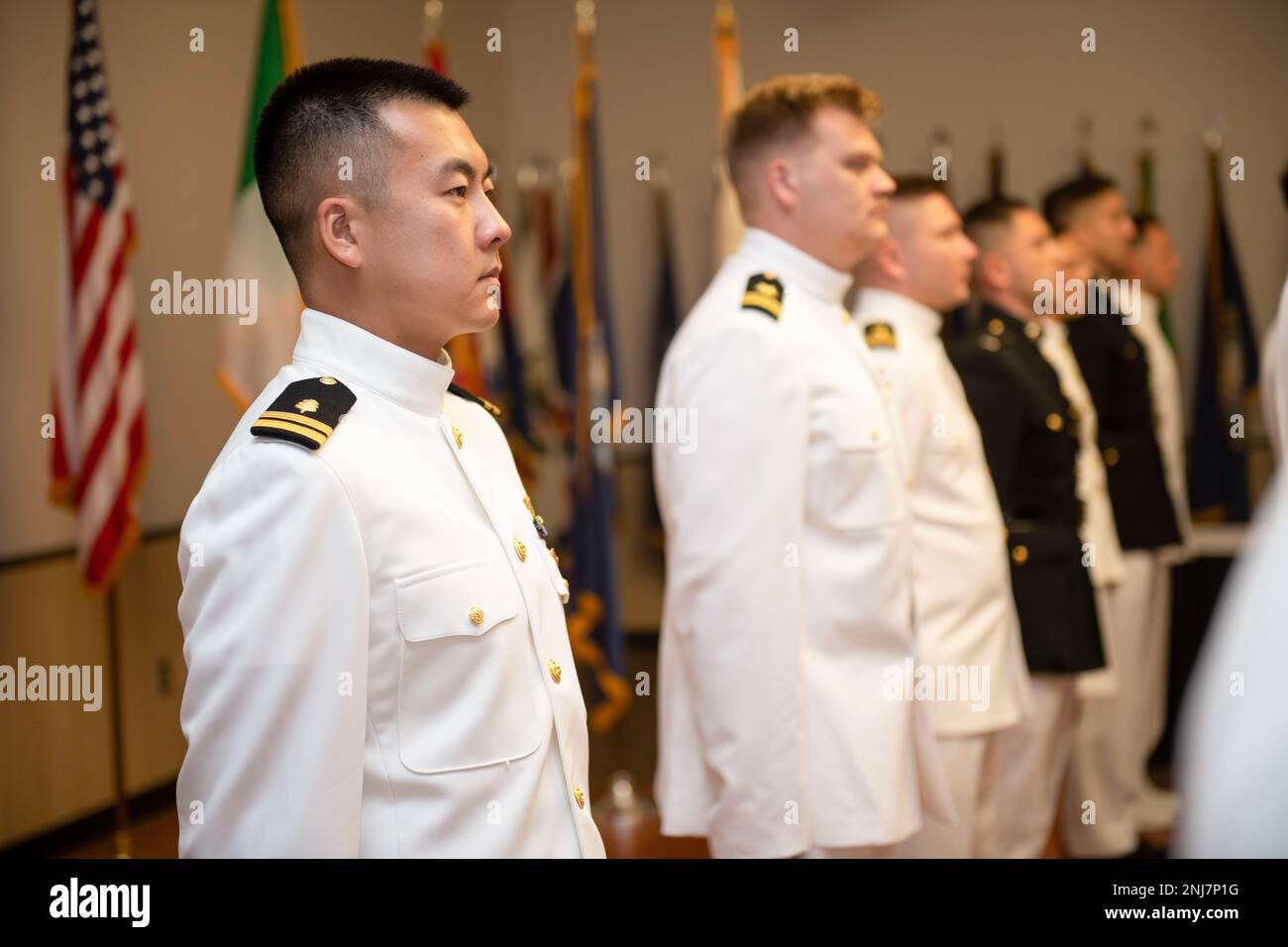 Gold naval aviators wings hi-res stock photography and images - Alamy
