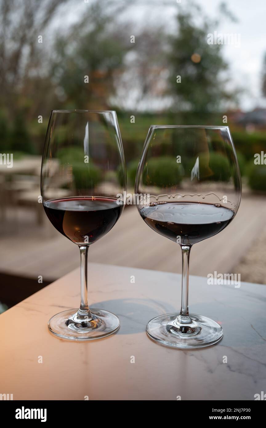 Tasting of red reserva rioja wines, visit of winery cellar in Haro ...