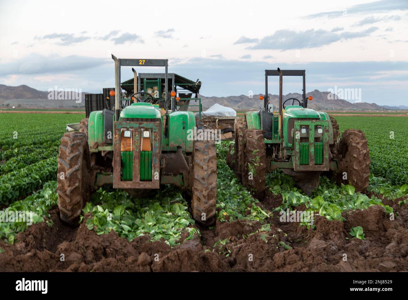 Arizona alfalfa irrigation hi-res stock photography and images - Alamy