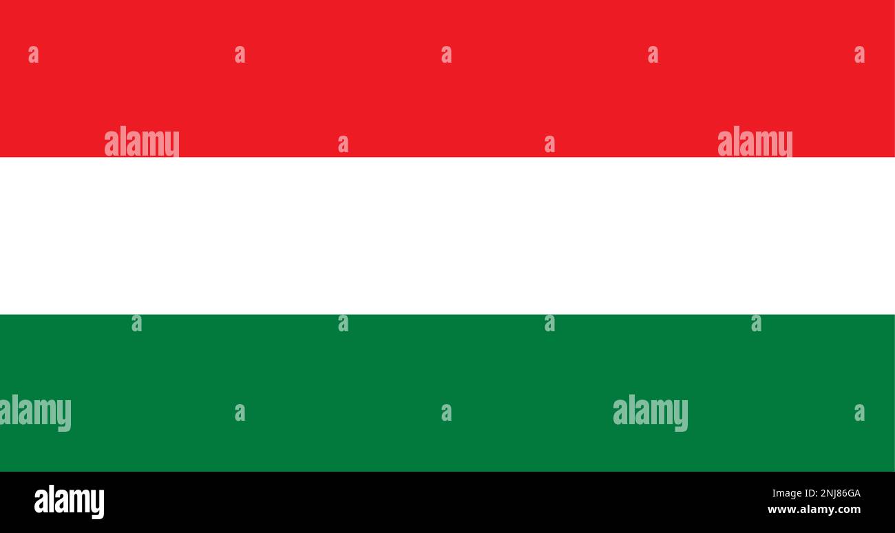 Vector of Hungary flag Stock Vector Image & Art - Alamy