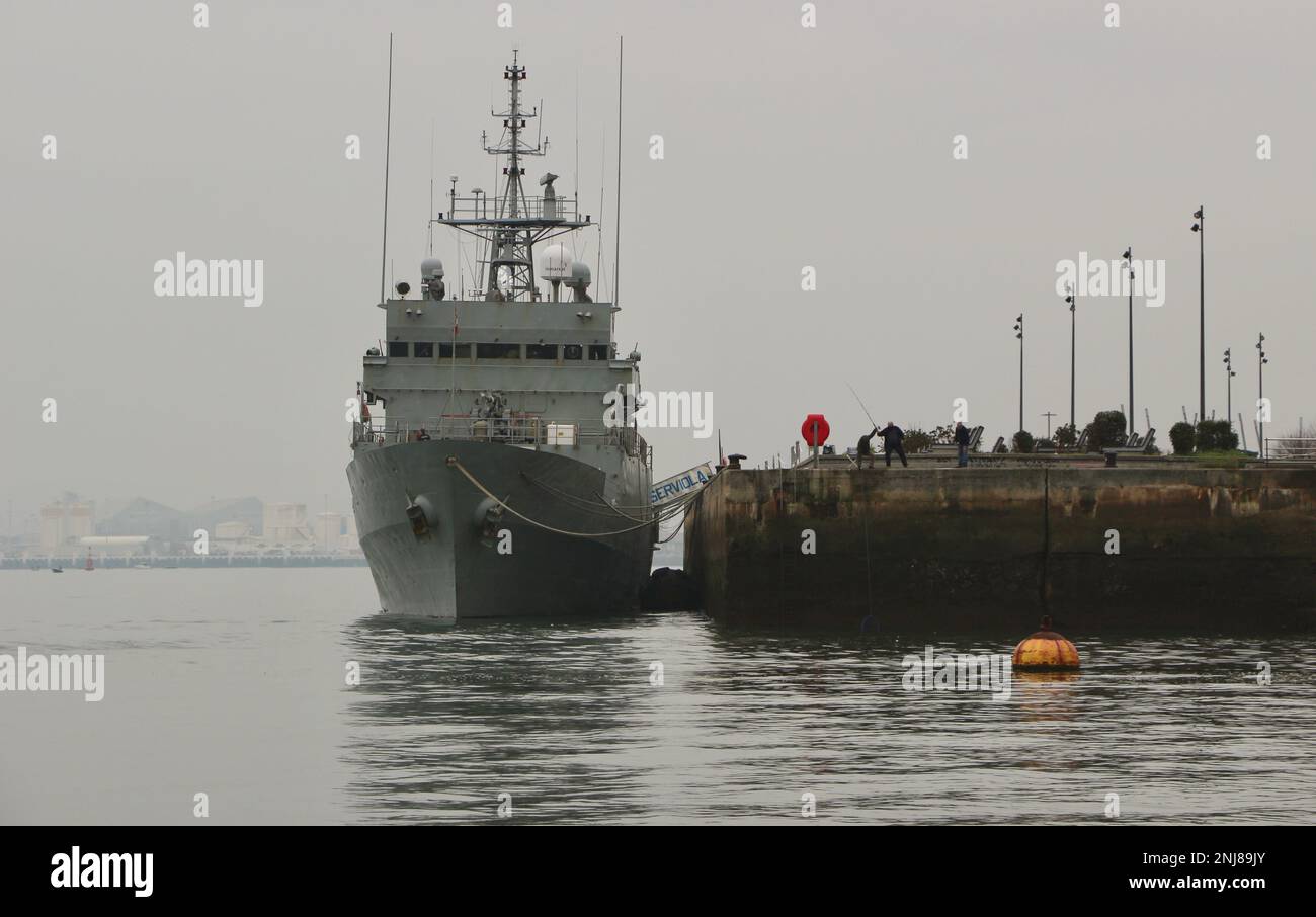 Serviola p 71 hi-res stock photography and images - Alamy