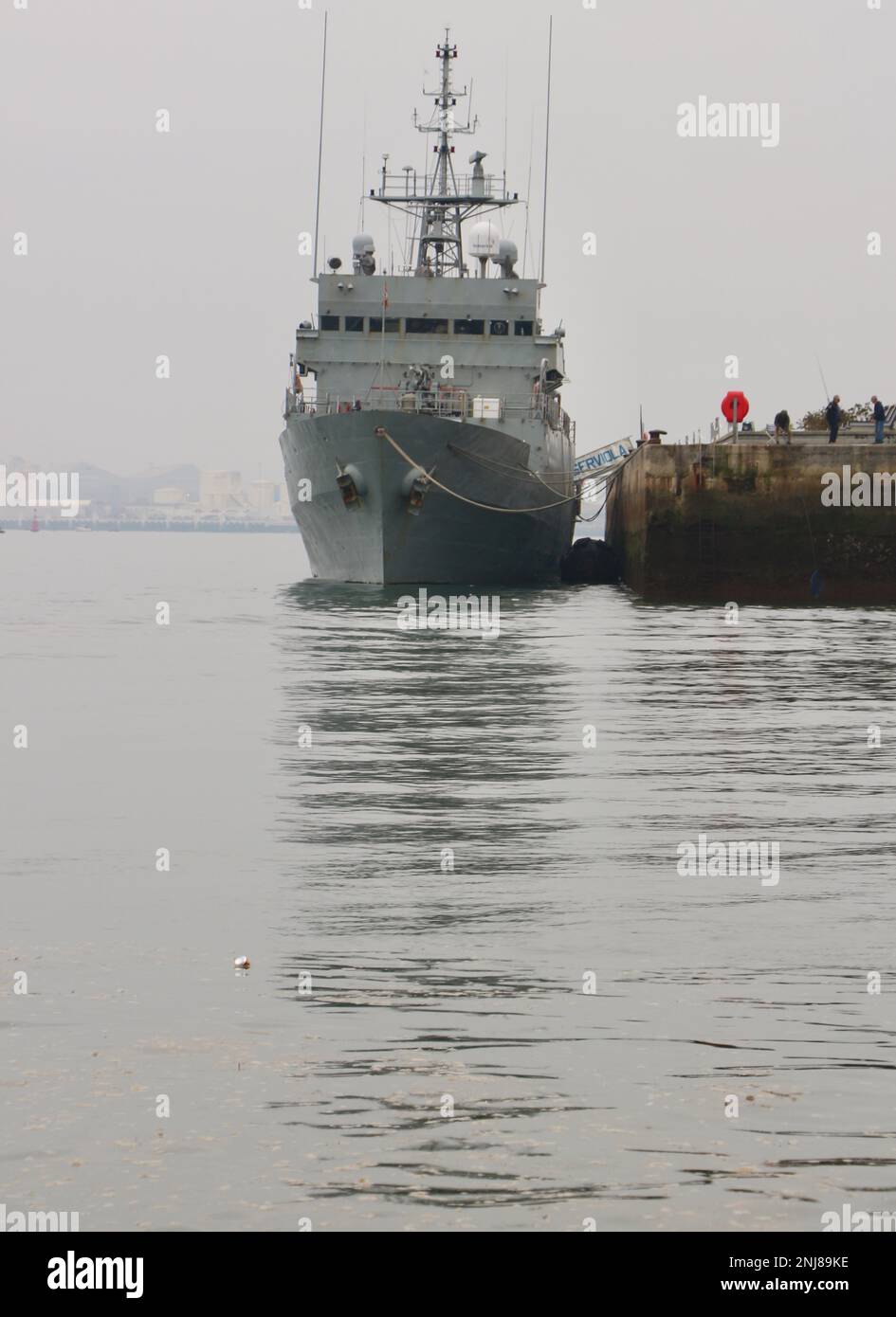 Serviola p 71 hi-res stock photography and images - Alamy