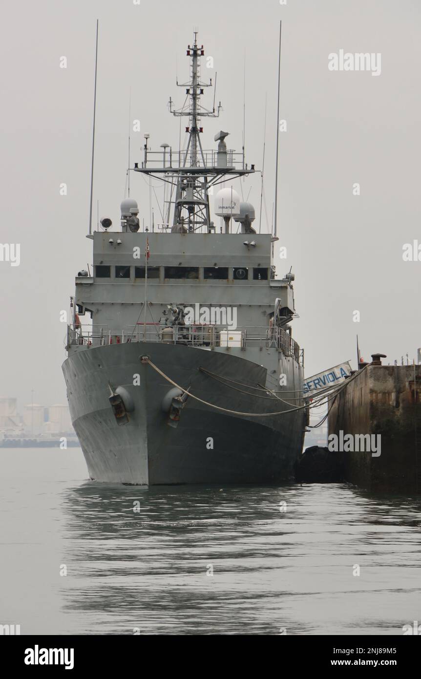 Serviola p 71 hi-res stock photography and images - Alamy