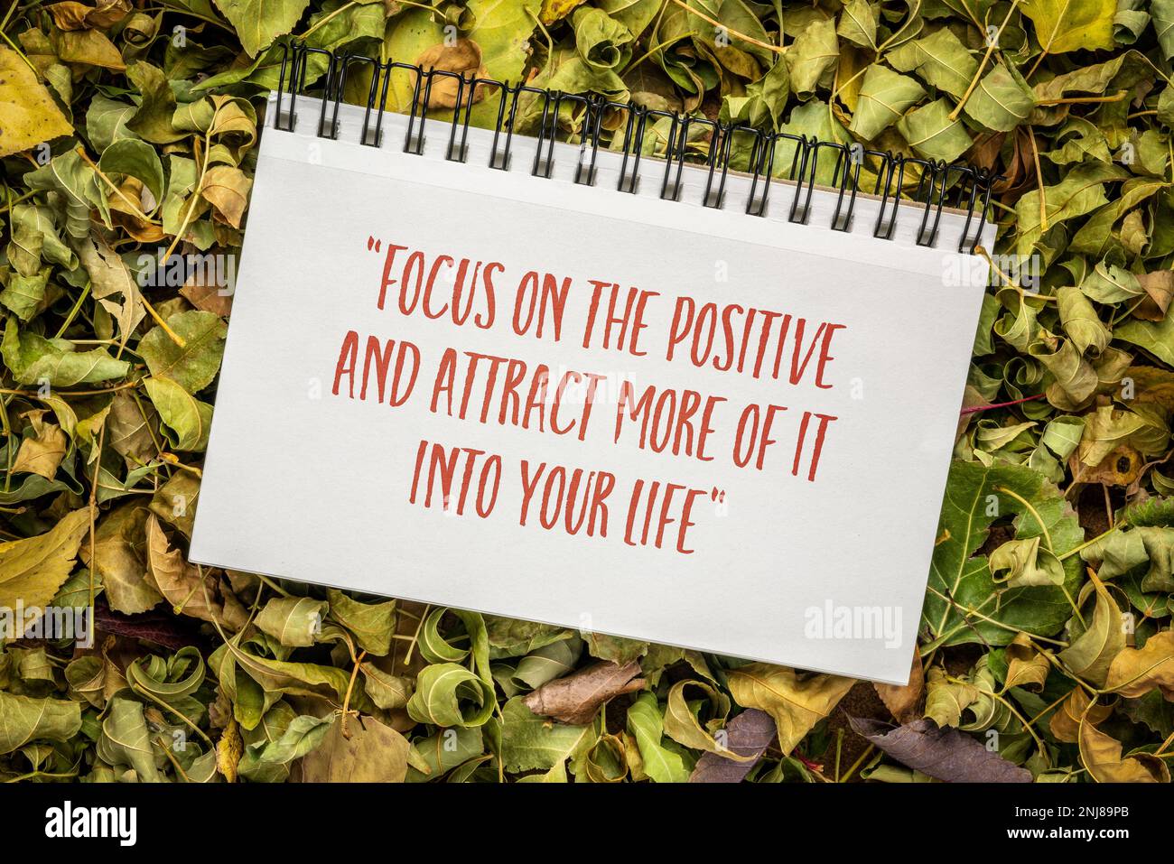 Focus on the positive and attract more of it into your life, law of ...