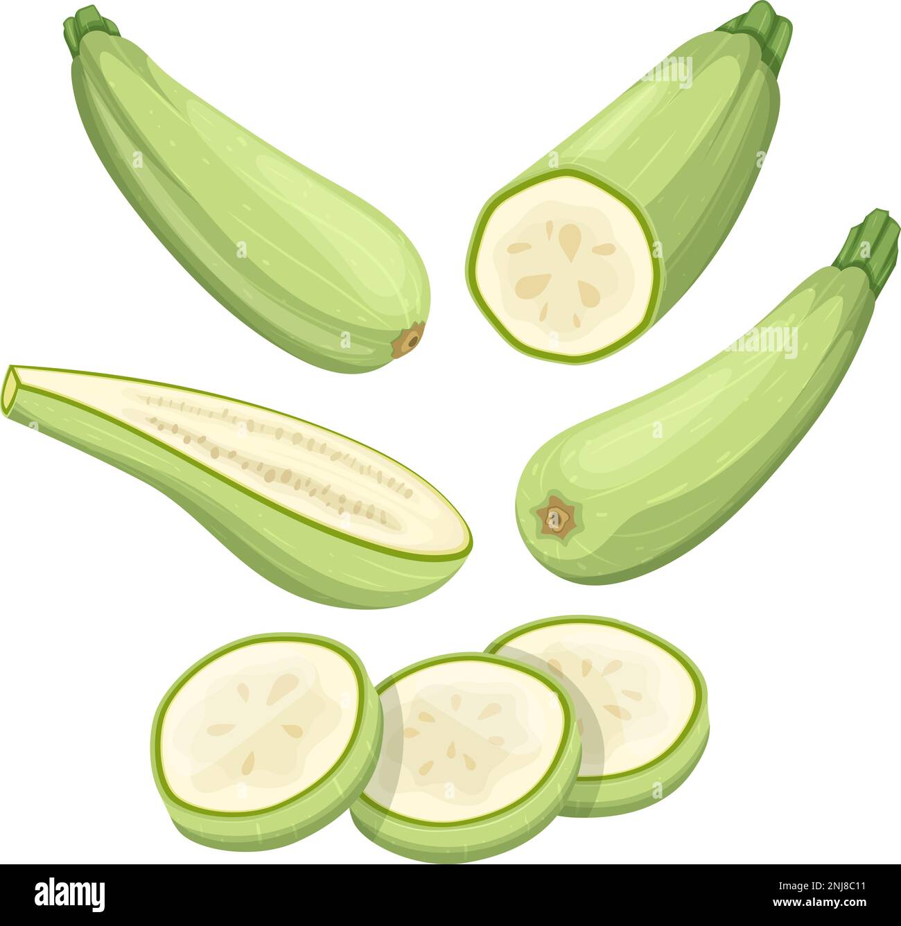 marrow vegetable set cartoon vector illustration color sign Stock ...