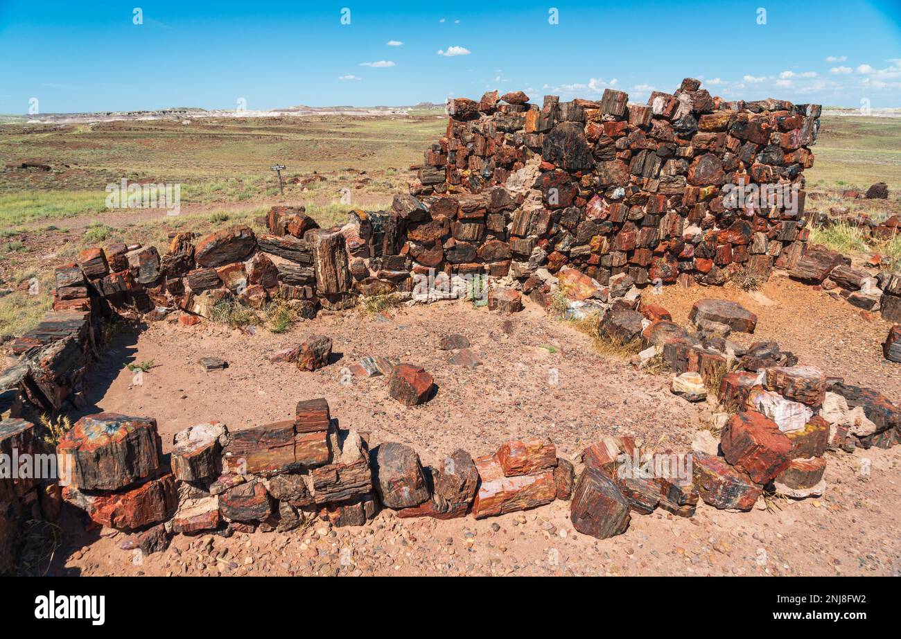 Petrified Forest National Park, Arizona Stock Photo - Alamy