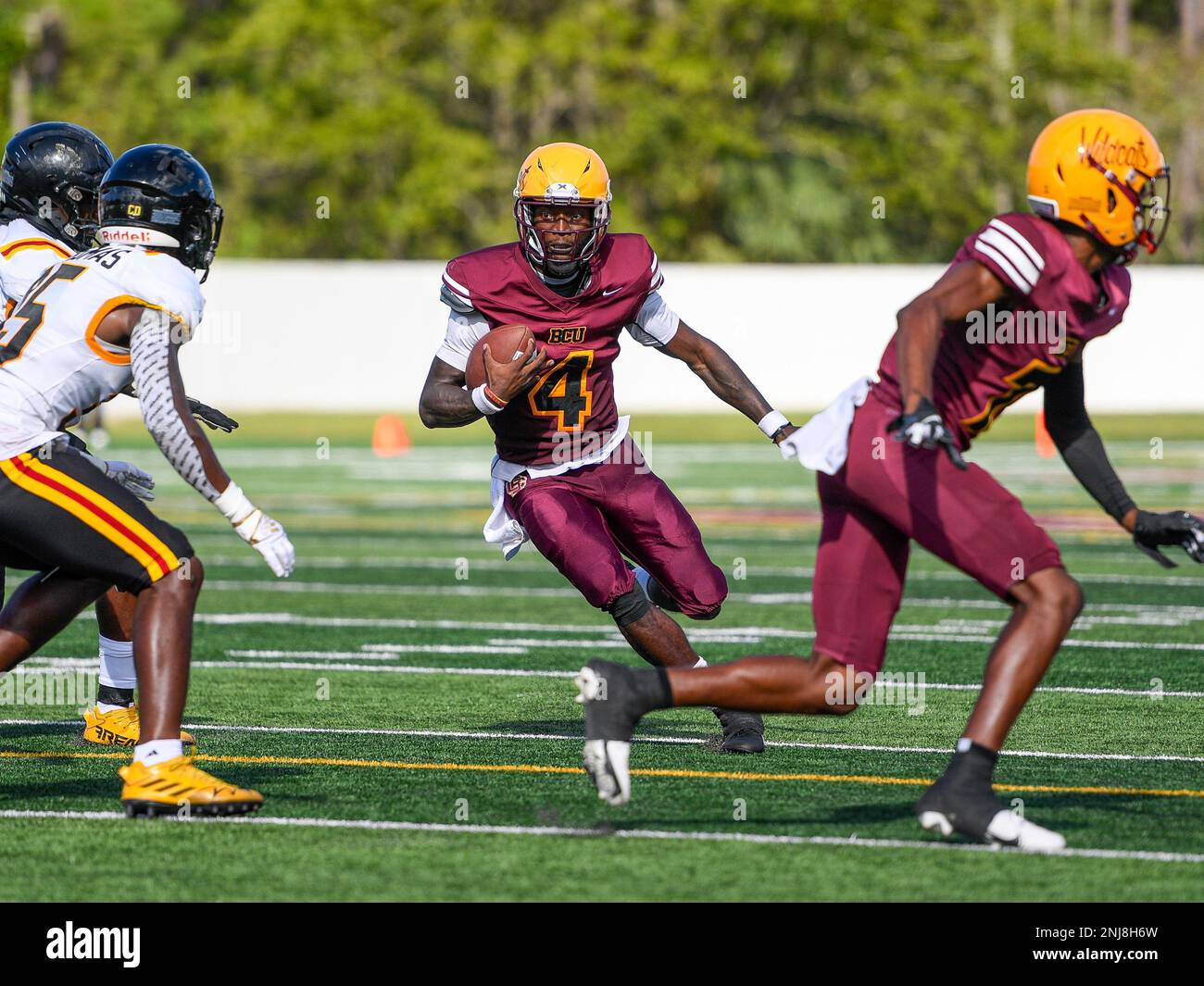 2022 0365 jpg hi-res stock photography and images - Alamy