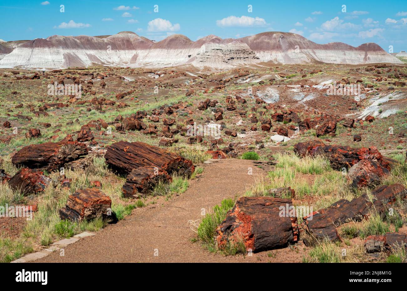 Petrified Forest National Park, Arizona Stock Photo - Alamy