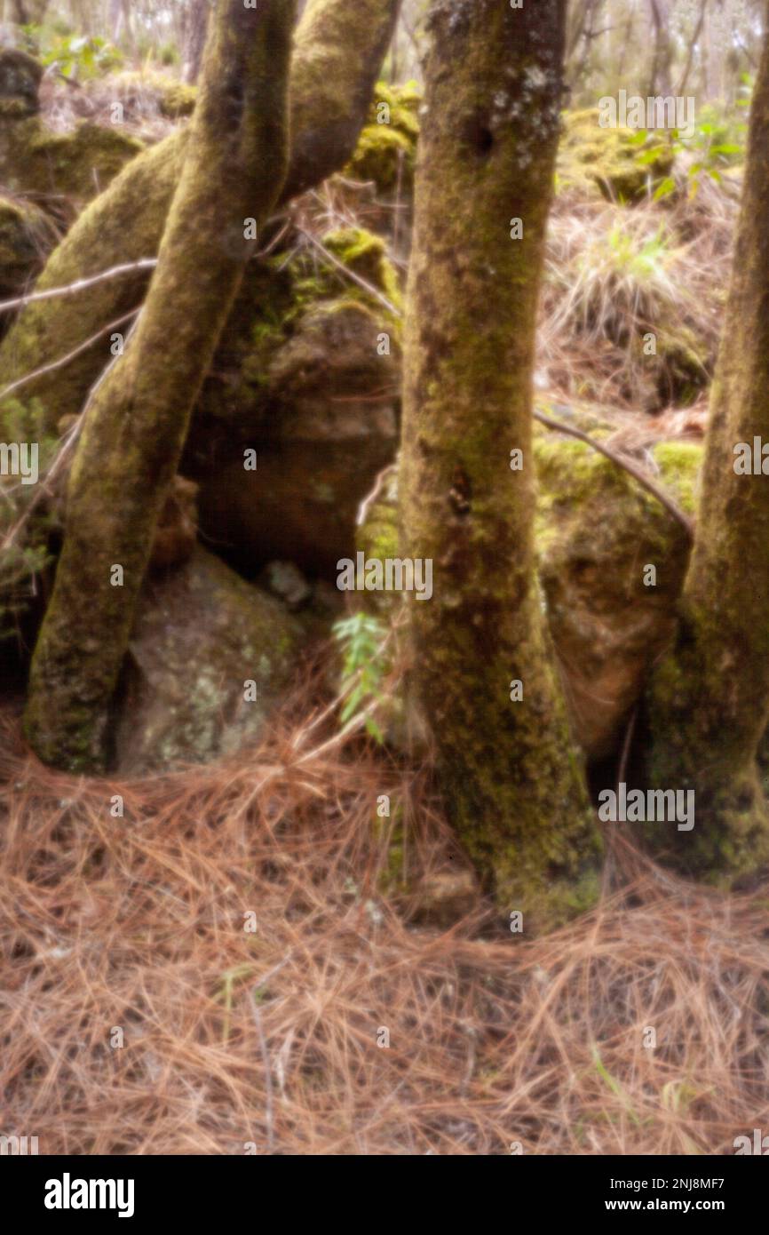 New, Age-defying, digital age, lensless, eye-catching, high resolution ...