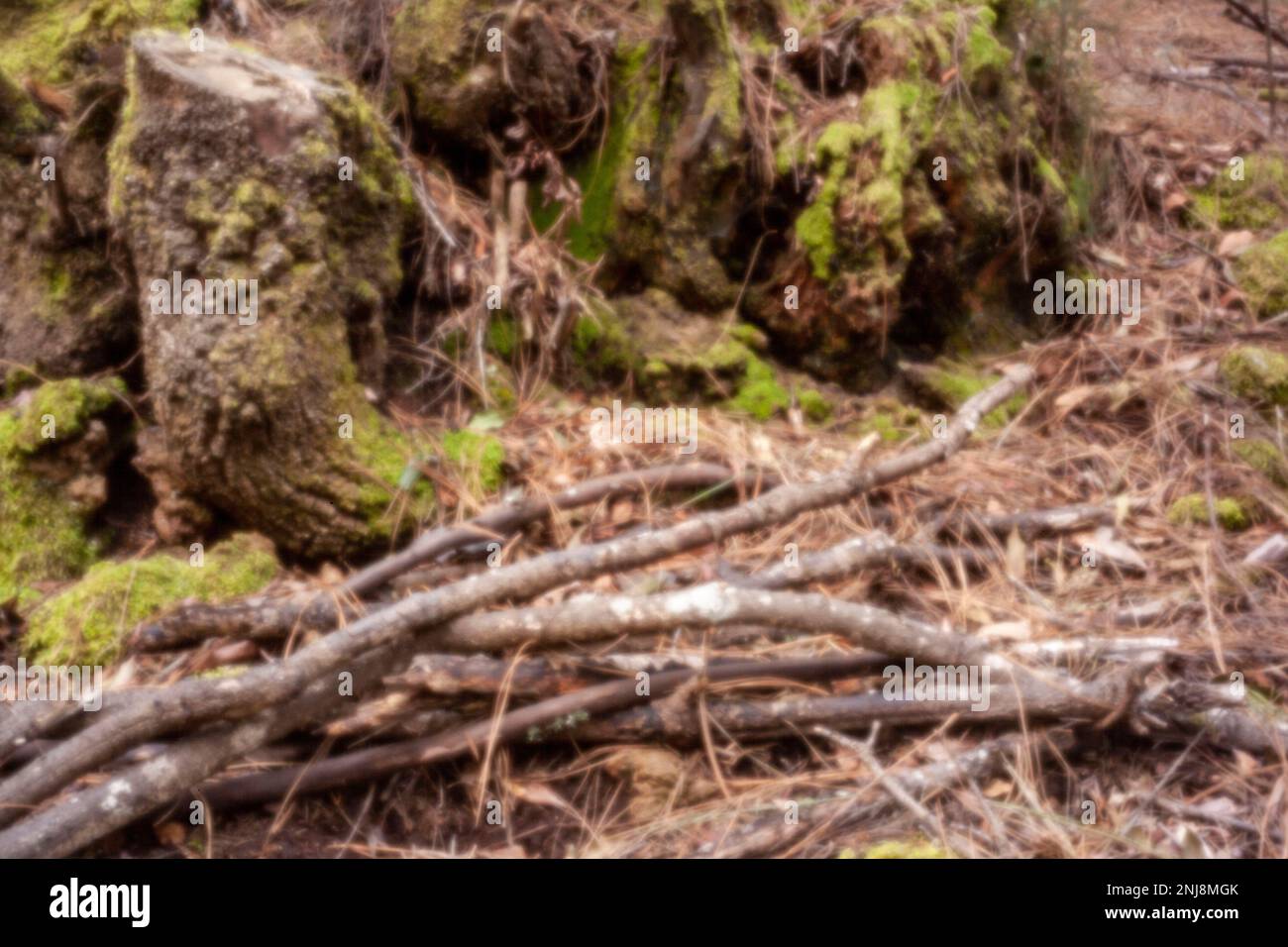 New, Age-defying, digital age, lensless, eye-catching, high resolution ...