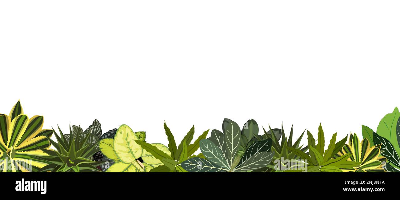 House plants and Tropical leaves vector border Stock Vector Image & Art ...