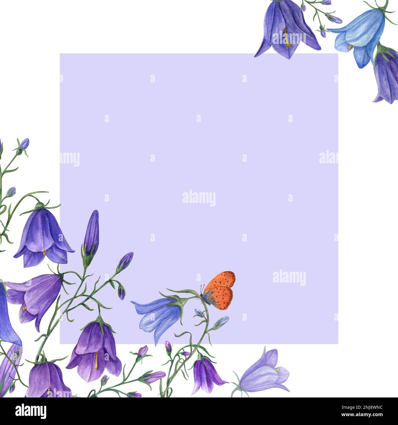 Watercolor bluebells isolated on white background. Botanical painting ...