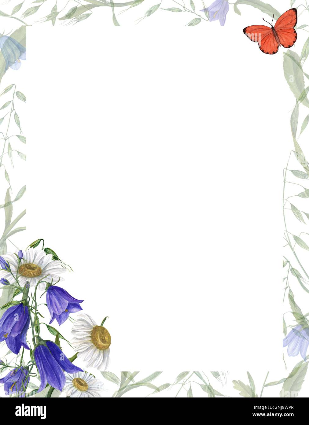 Watercolor flower card with daisy, campanula. Template for postcard ...