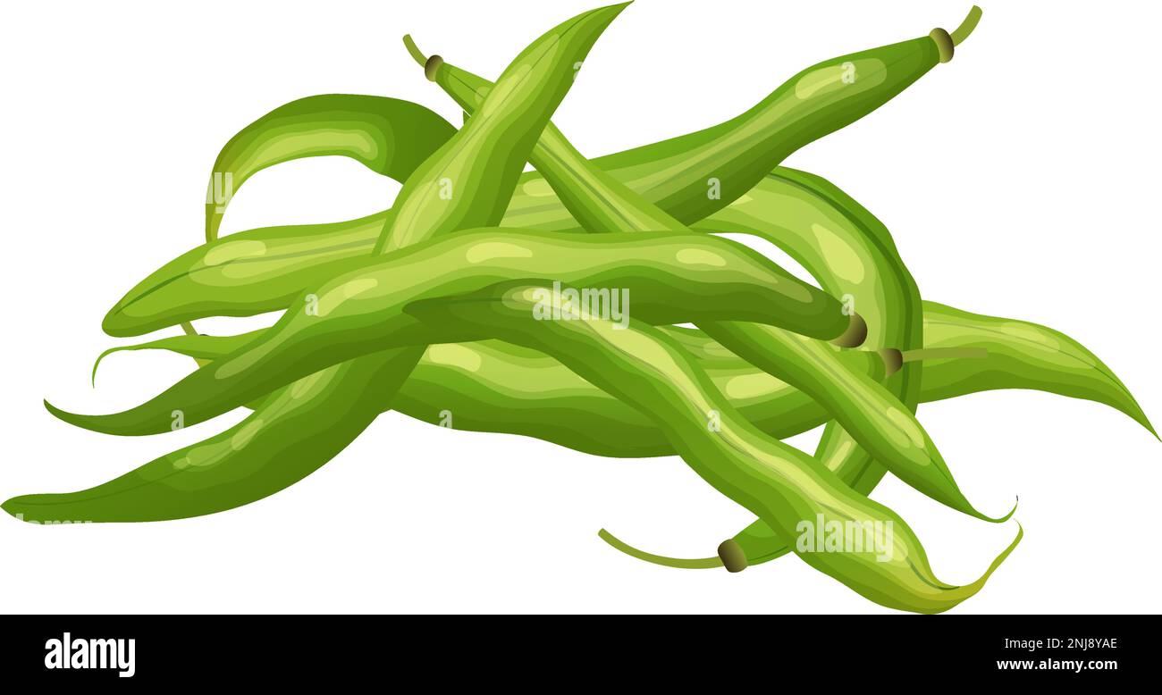 green bean food cartoon vector illustration color sign Stock Vector ...