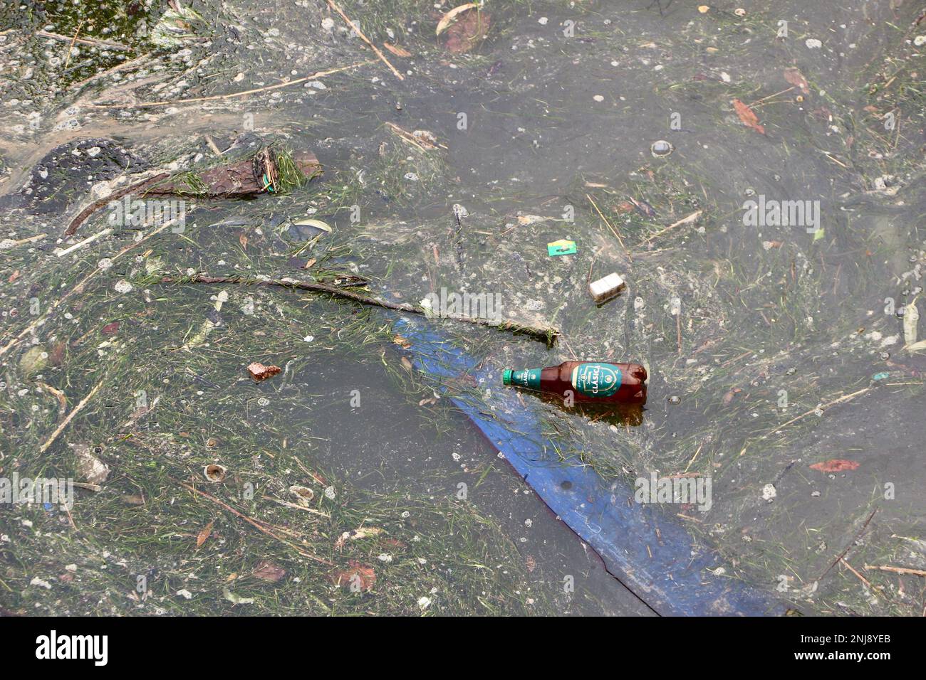 Marine pollution collecting and floating in a corner of Santander bay ...