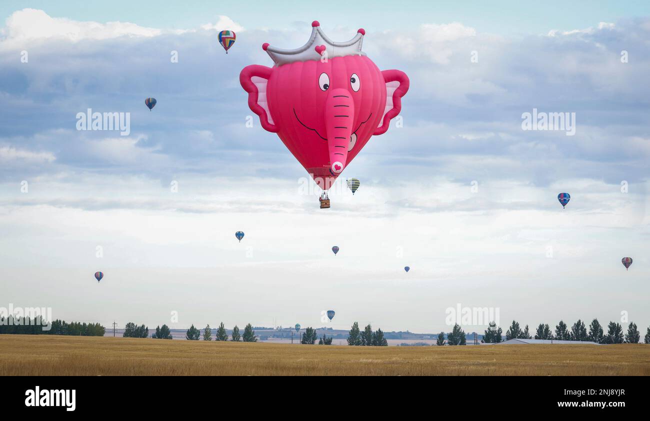 Hot air balloons soar over fields during the Heritage Inn International ...