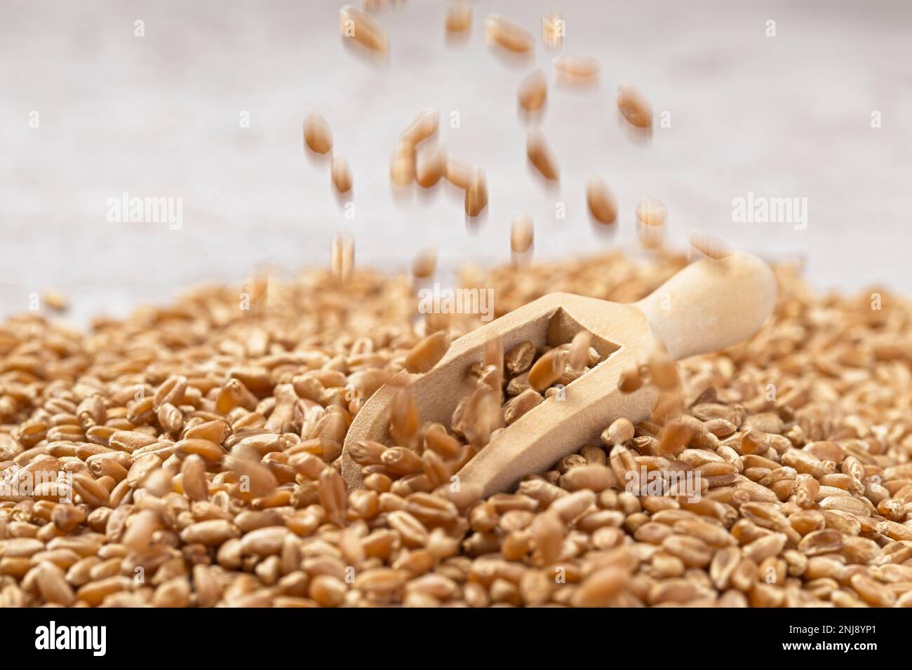 Whole grain wheat seeds falling hi-res stock photography and images - Alamy
