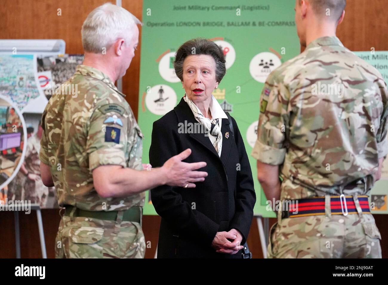 Britain's Princess Anne, in her role as Colonel-in-Chief of both the ...