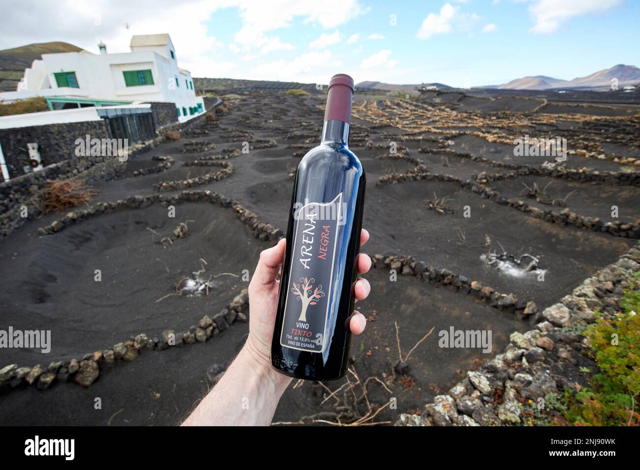 holding a bottle of arena negra red wine from vega volcan small artisan ...