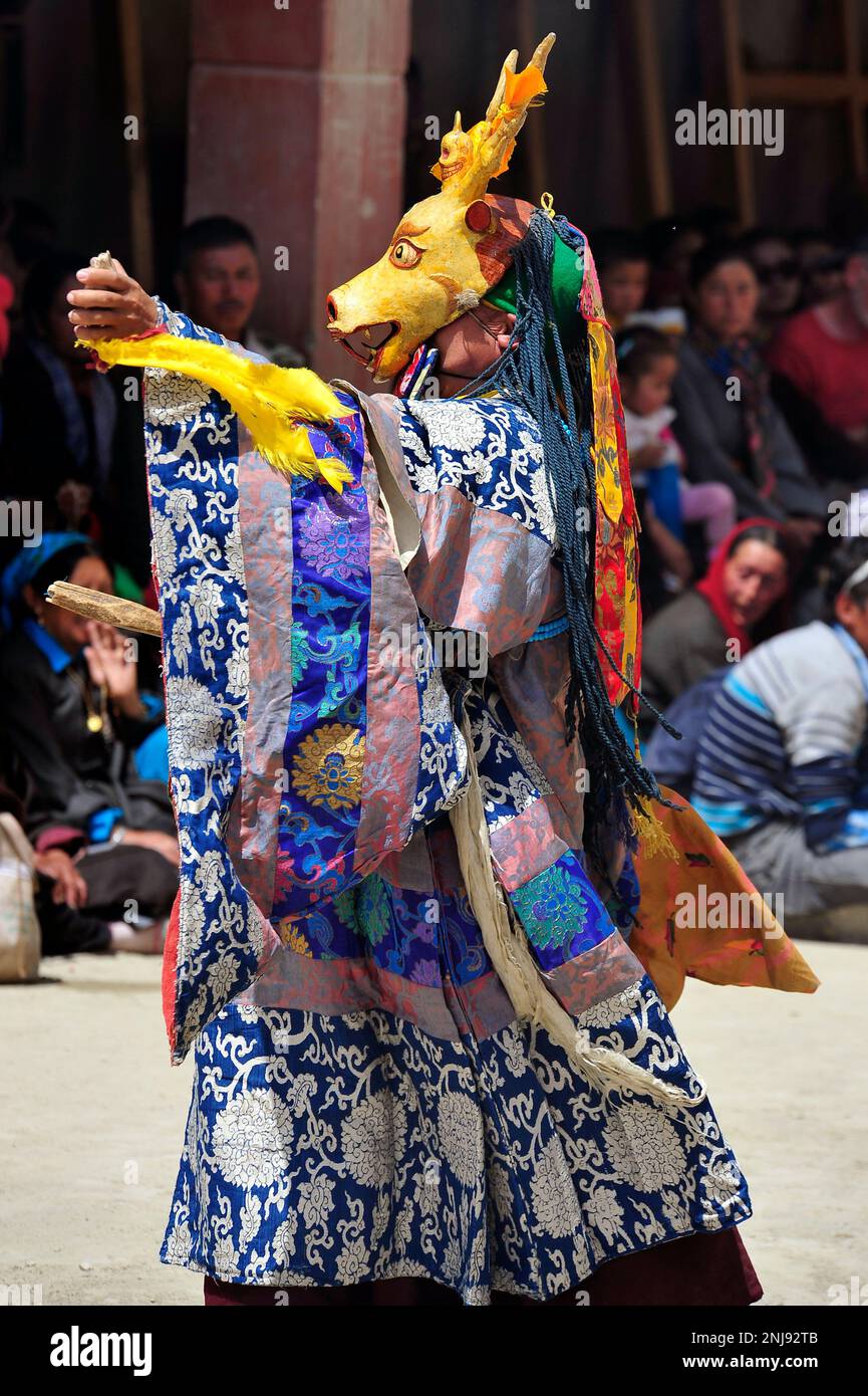 Buddhist monk dancing Cham, also Tsam dance - during festival. Lamayuru ...