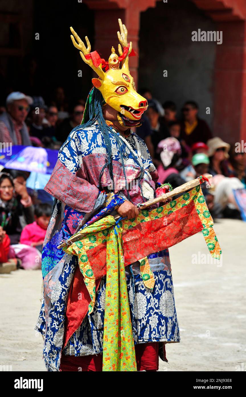 Buddhist monk dancing Cham, also Tsam dance - during festival. Lamayuru ...