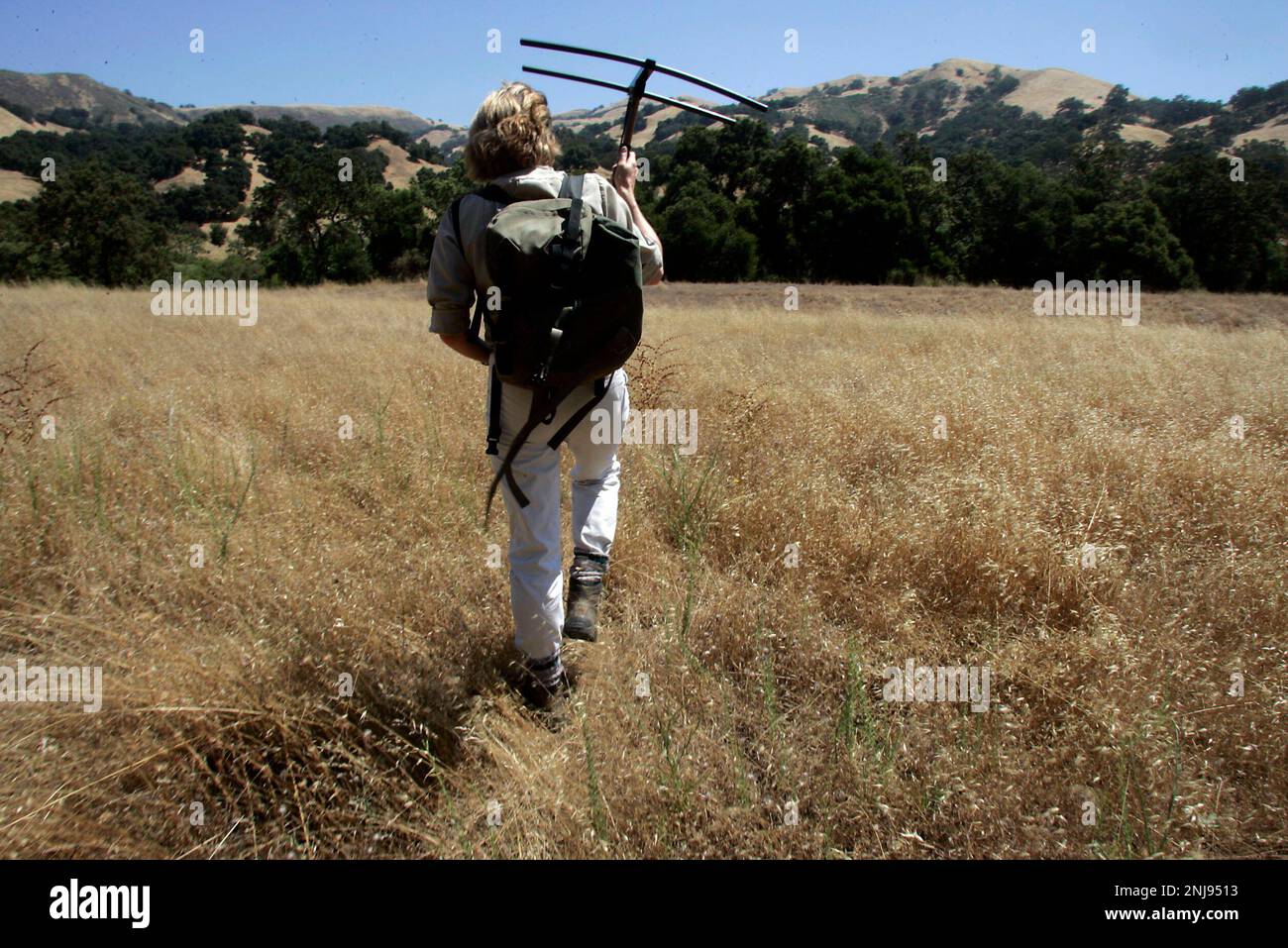 EBLRATTLESNAKE 001 LH.JPG Katie Colbert is a naturalist who's studying ...