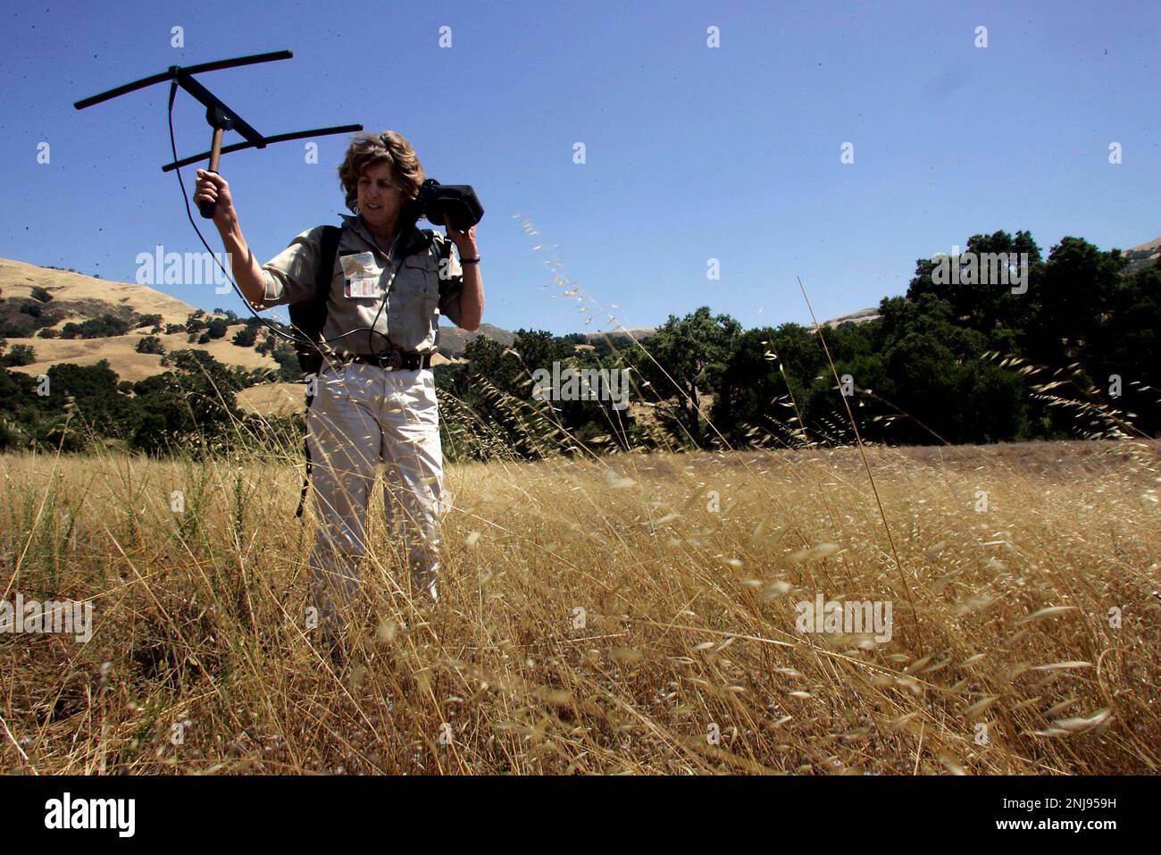 EBLRATTLESNAKE 020 LH.JPG Katie Colbert is a naturalist who's studying ...