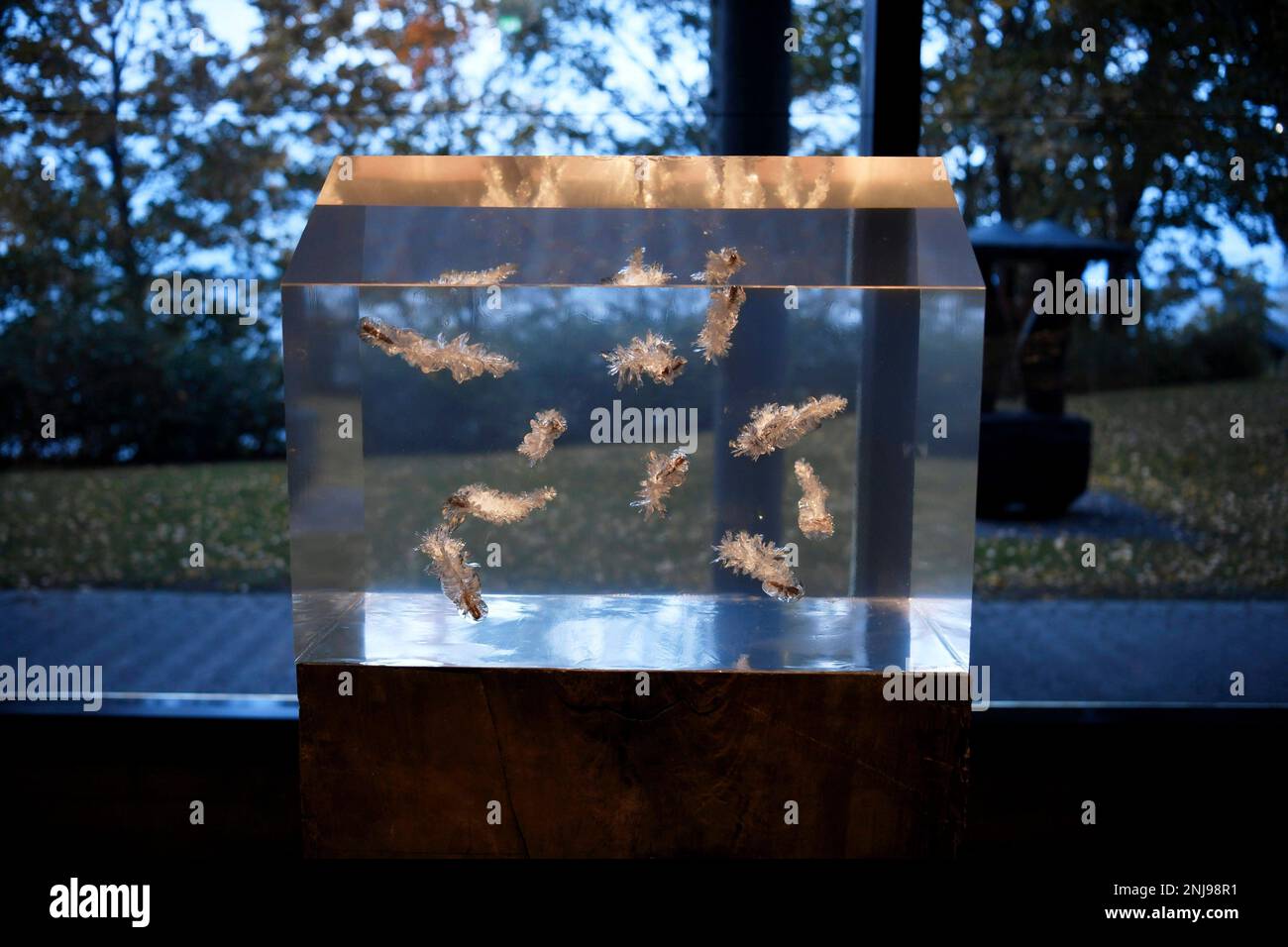 Art work by US actor Brad Pitt displayed at the Sara Hilden Art Museum ...