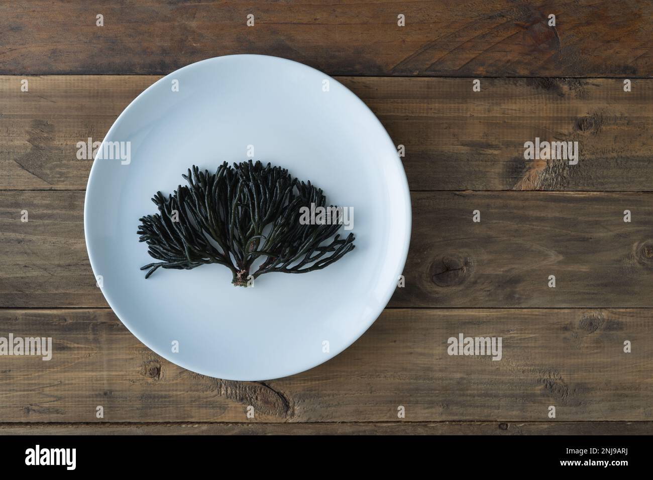 Codium fragile. Green algae in a ceramic dish on a wooden background ...