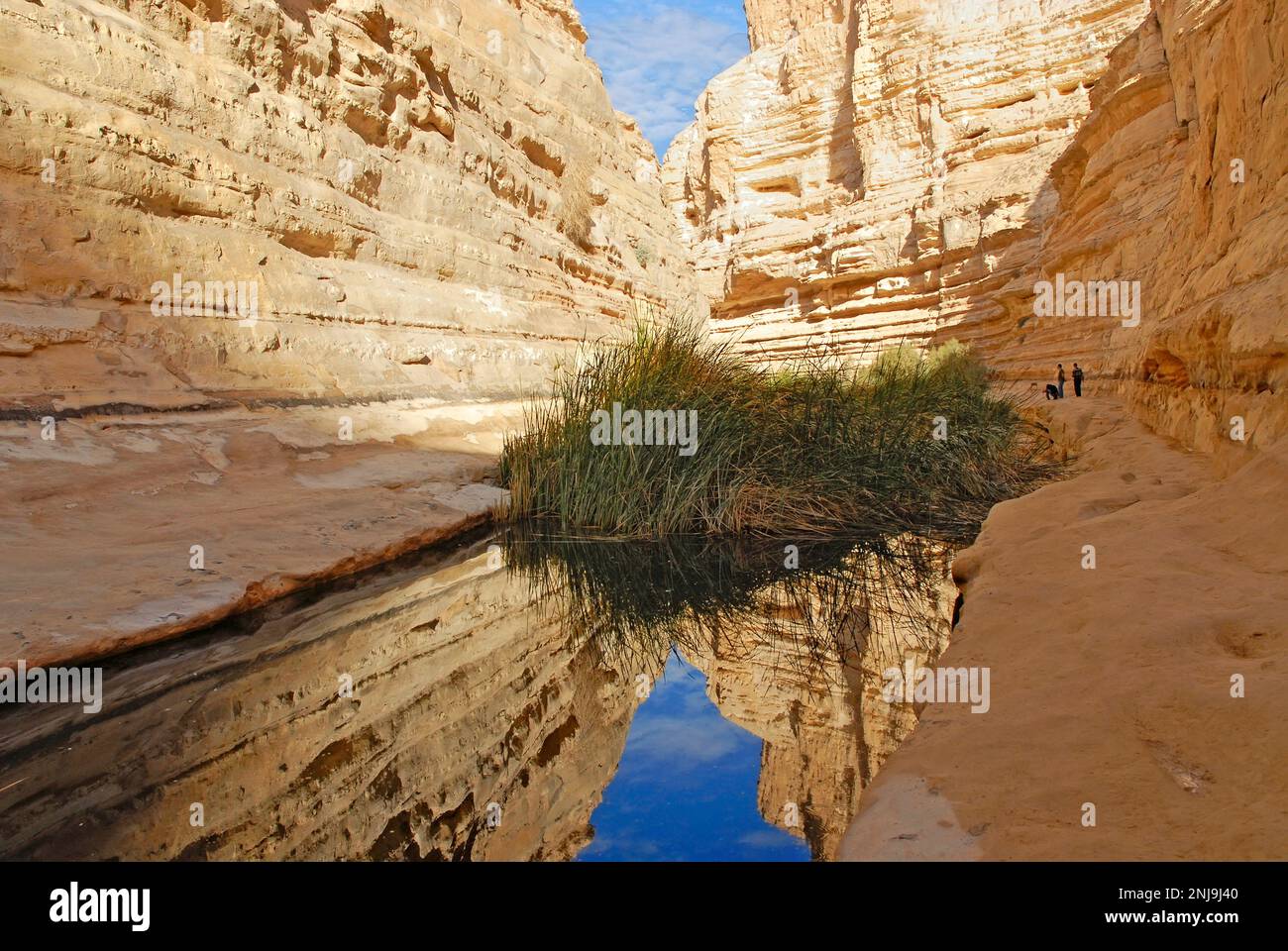 Avdat canyon - Reflection, Negev, Israel Stock Photo - Alamy